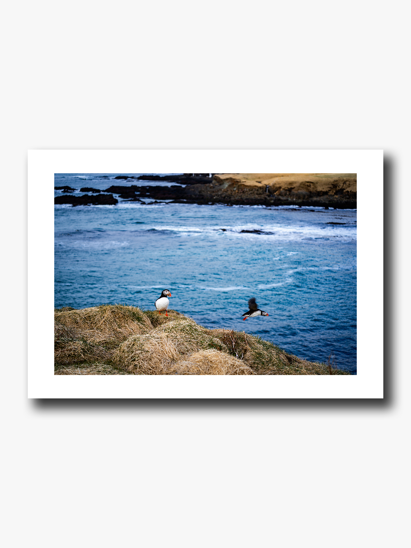 Not your average couple - Motorsport, Automotive and Lifestyle | Luca ...